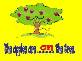 Prepositions of place 1 | PPT