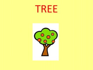 Prepositions of place 4º | PPT