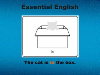 Prepositions of Movement | PPT