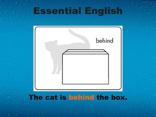Prepositions of Movement | PPT
