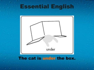 Prepositions of Movement | PPT