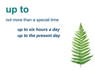 Prepositions of Time usage and example sentences | PPT