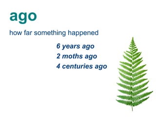 Prepositions of Time usage and example sentences | PPT