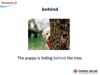 Prepositions position and location | PPTX