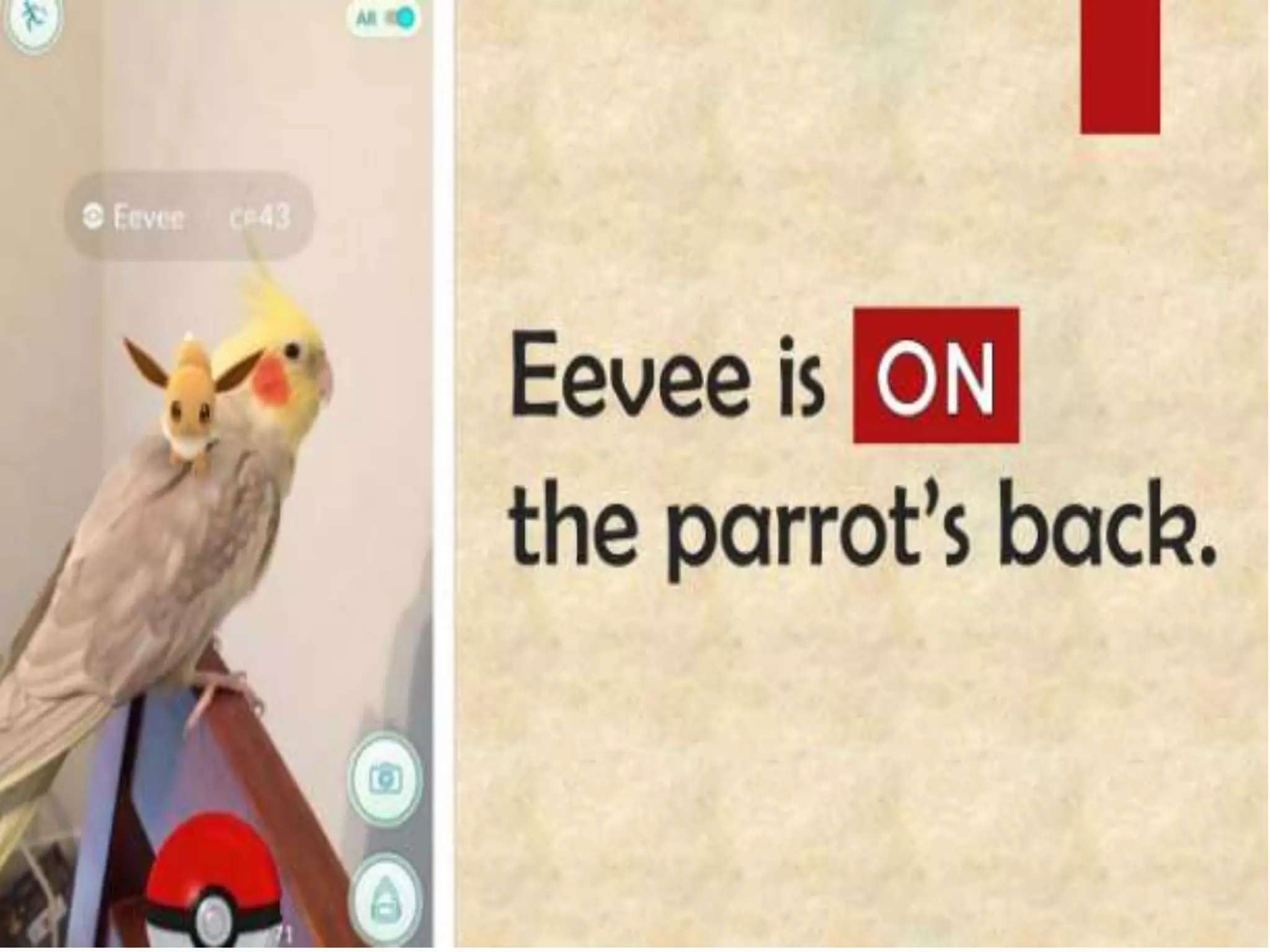 Prepositions of place with pokemon go | PPTX