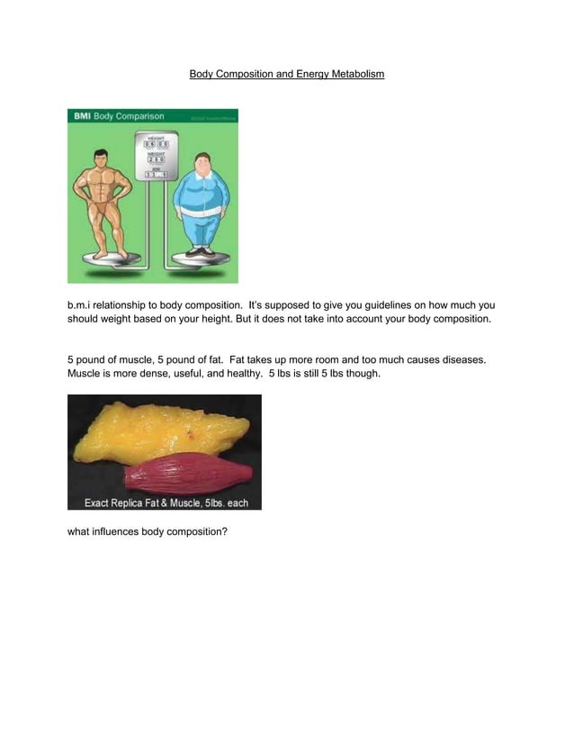 Body composition | PDF