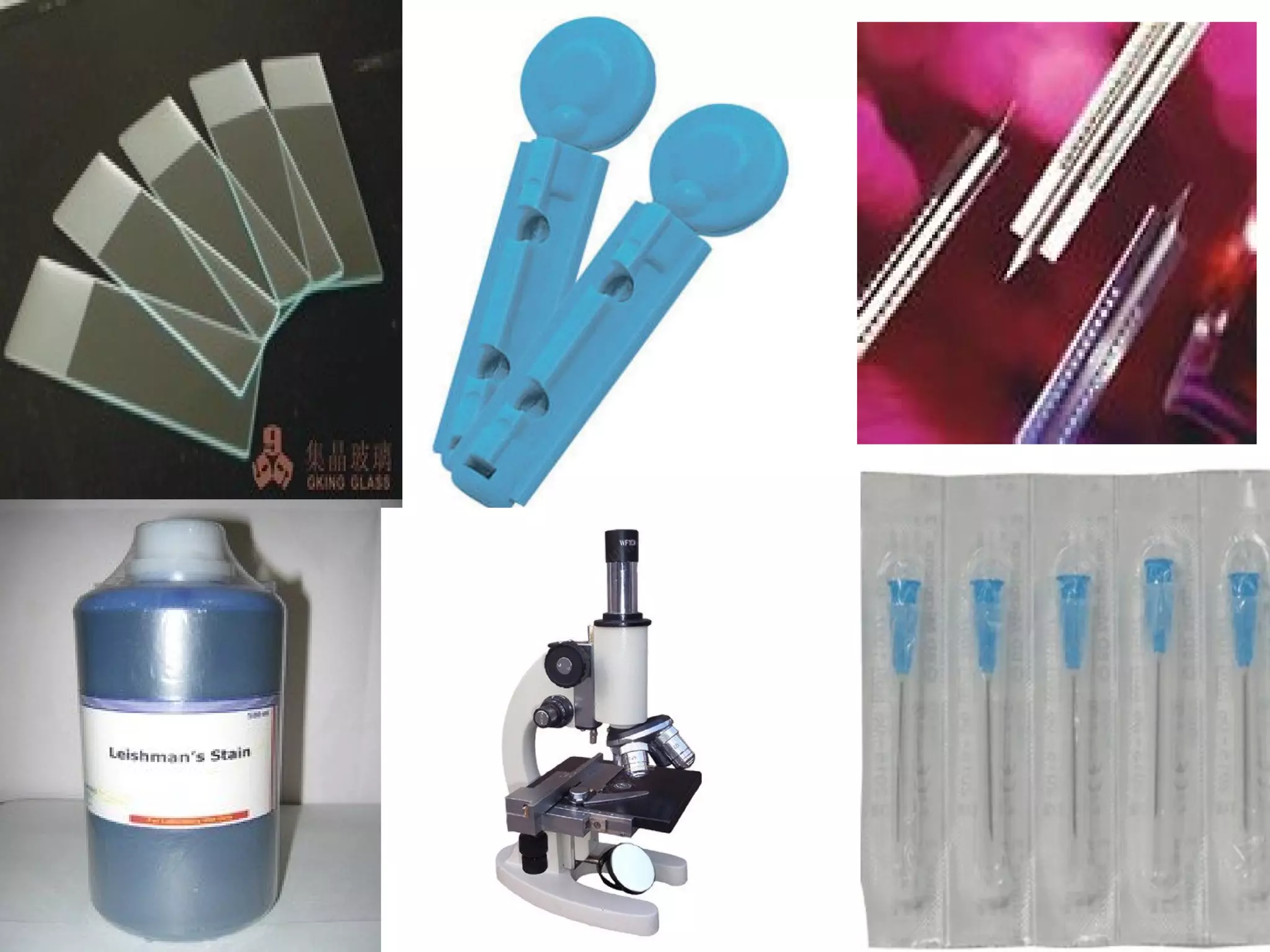 Prepration and staining of blood film | PPT