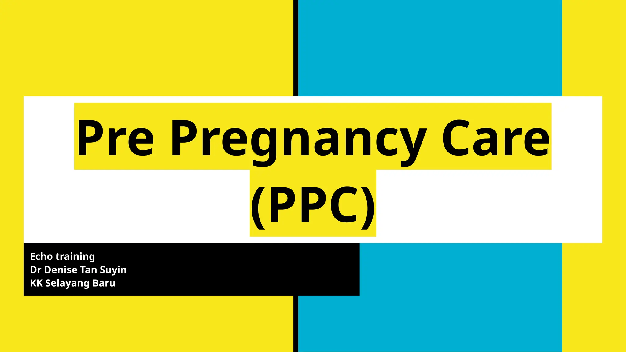 Pre Pregnancy Care (PPC) at health .pptx