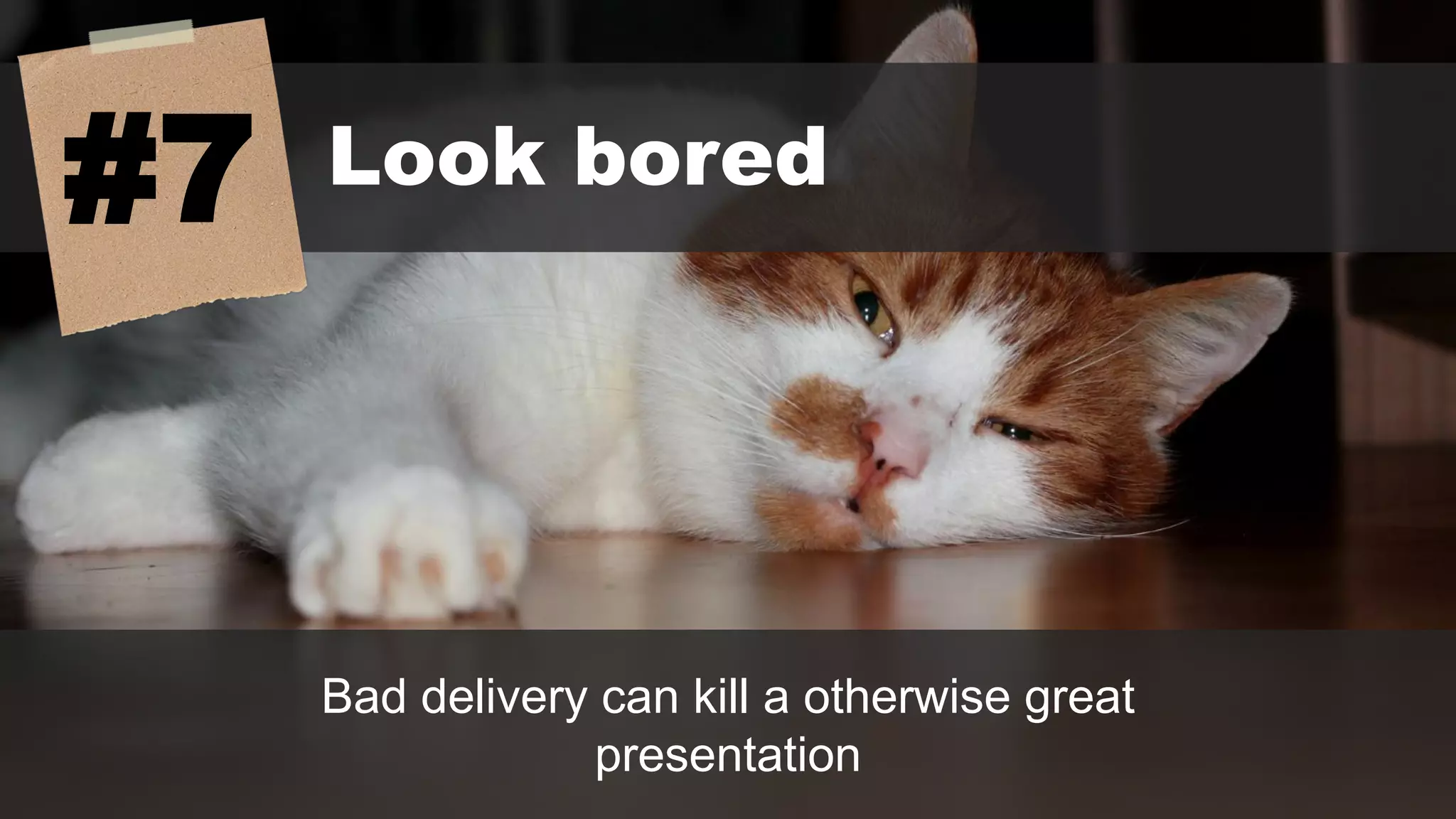 How to Give a Terrible Presentation | PDF