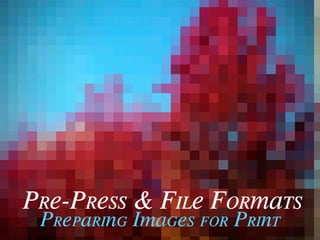Prepress and File Formats: Preparing Images for Print | PDF | Desktop ...