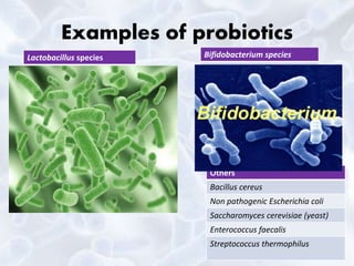 Prebiotics and probiotics | PPT