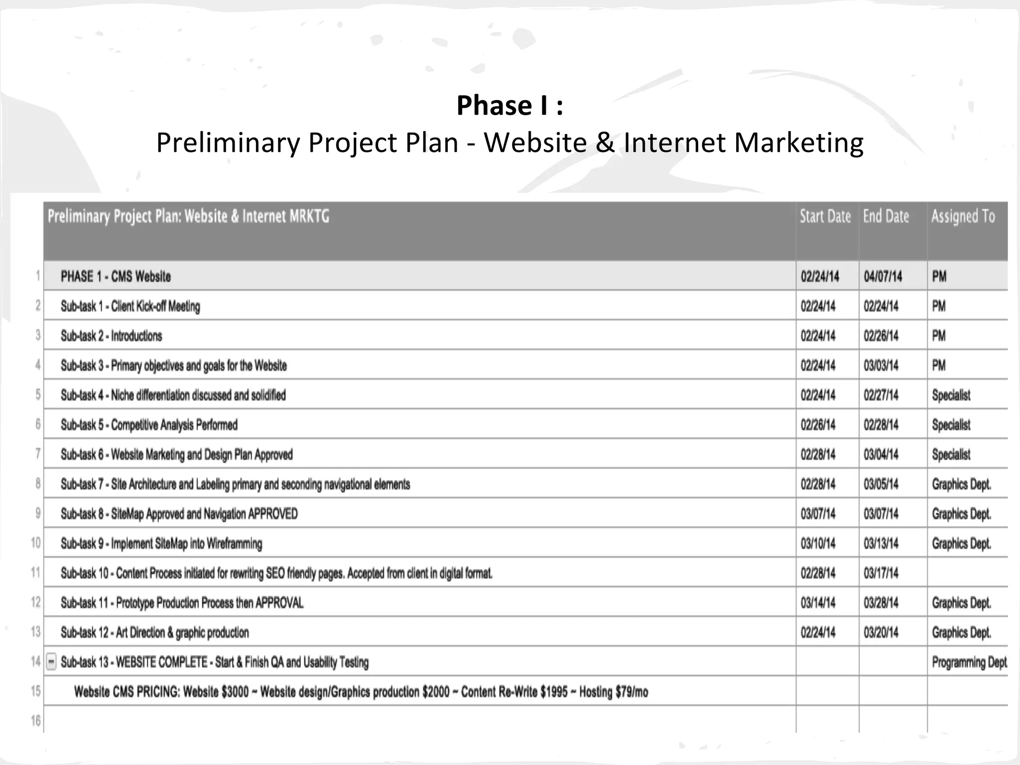 pre-Project Plan: Website & Internet Marketing Strategy | PDF
