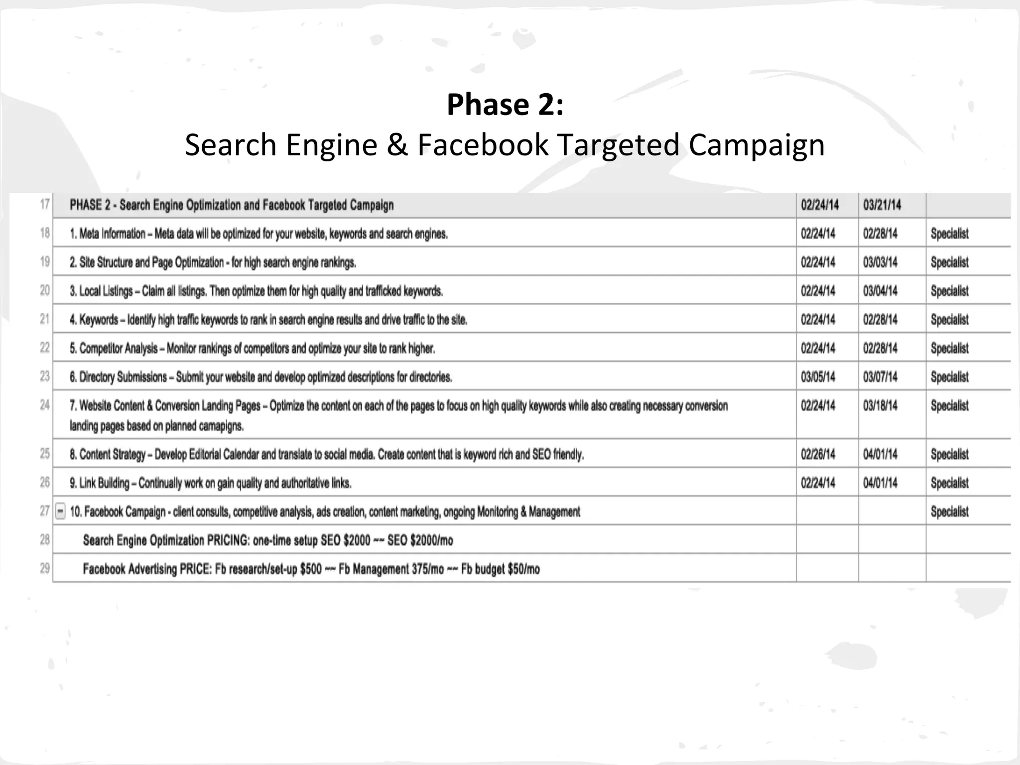 pre-Project Plan: Website & Internet Marketing Strategy | PDF