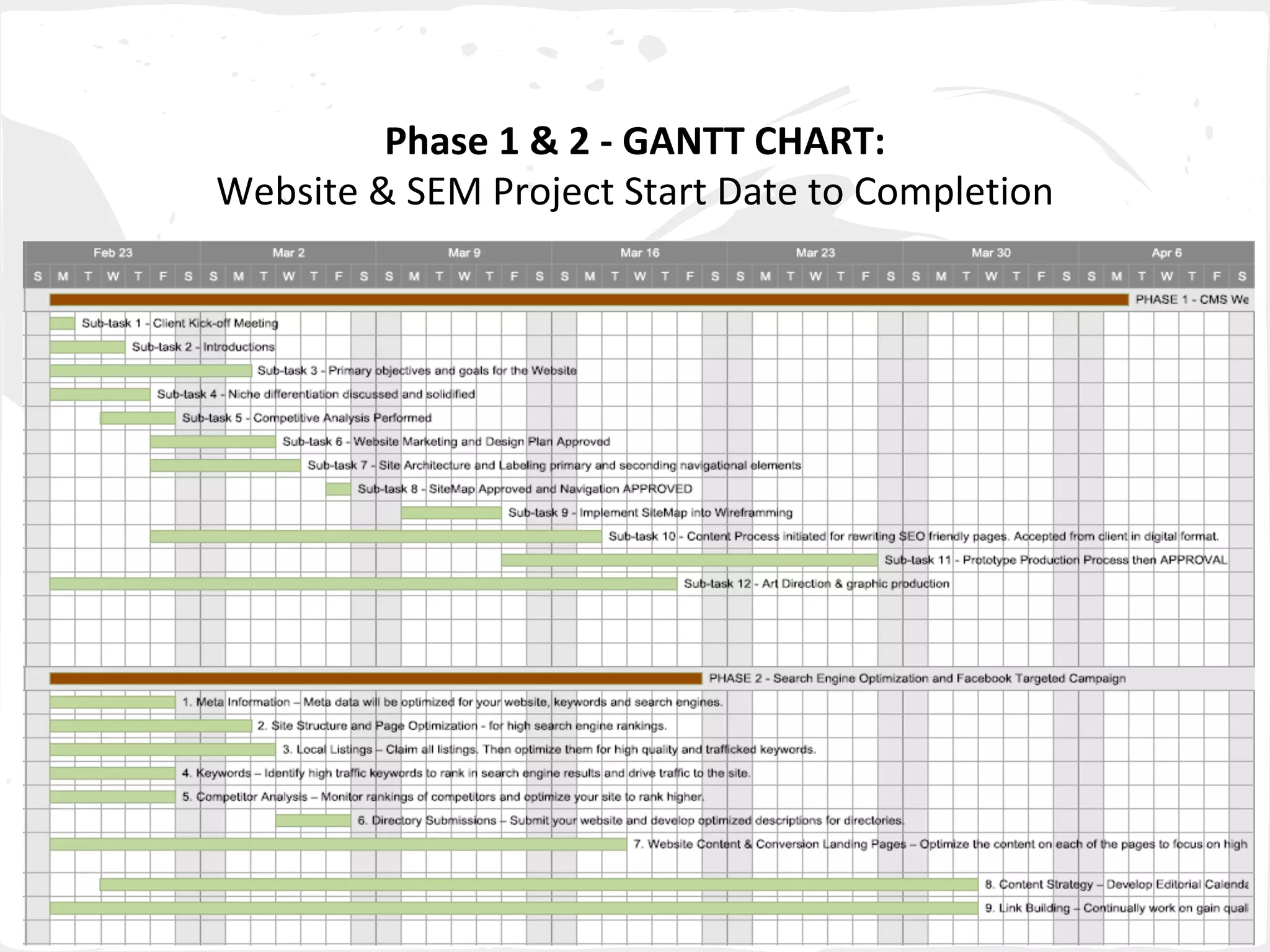 pre-Project Plan: Website & Internet Marketing Strategy | PDF