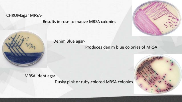 Prerit credit seminar