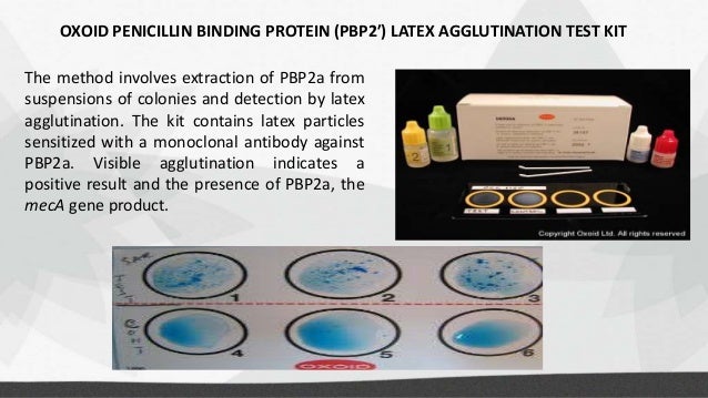 Prerit credit seminar