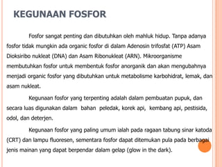 DAUR FOSFOR | PPTX