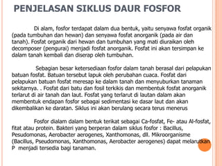 DAUR FOSOR | PPT