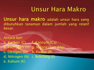 Unsur Hara Esensial Tumbuhan | PPTX