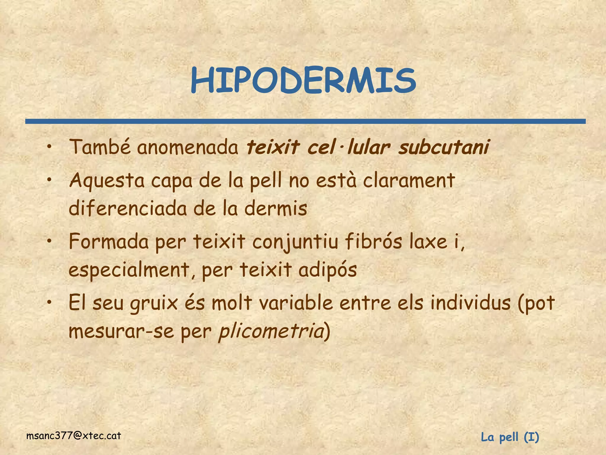 La Pell Dermis I Hipodermis | ODP