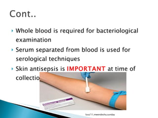 specimen collection&handling,Lusubilo2012 | PPT | Infectious Diseases ...