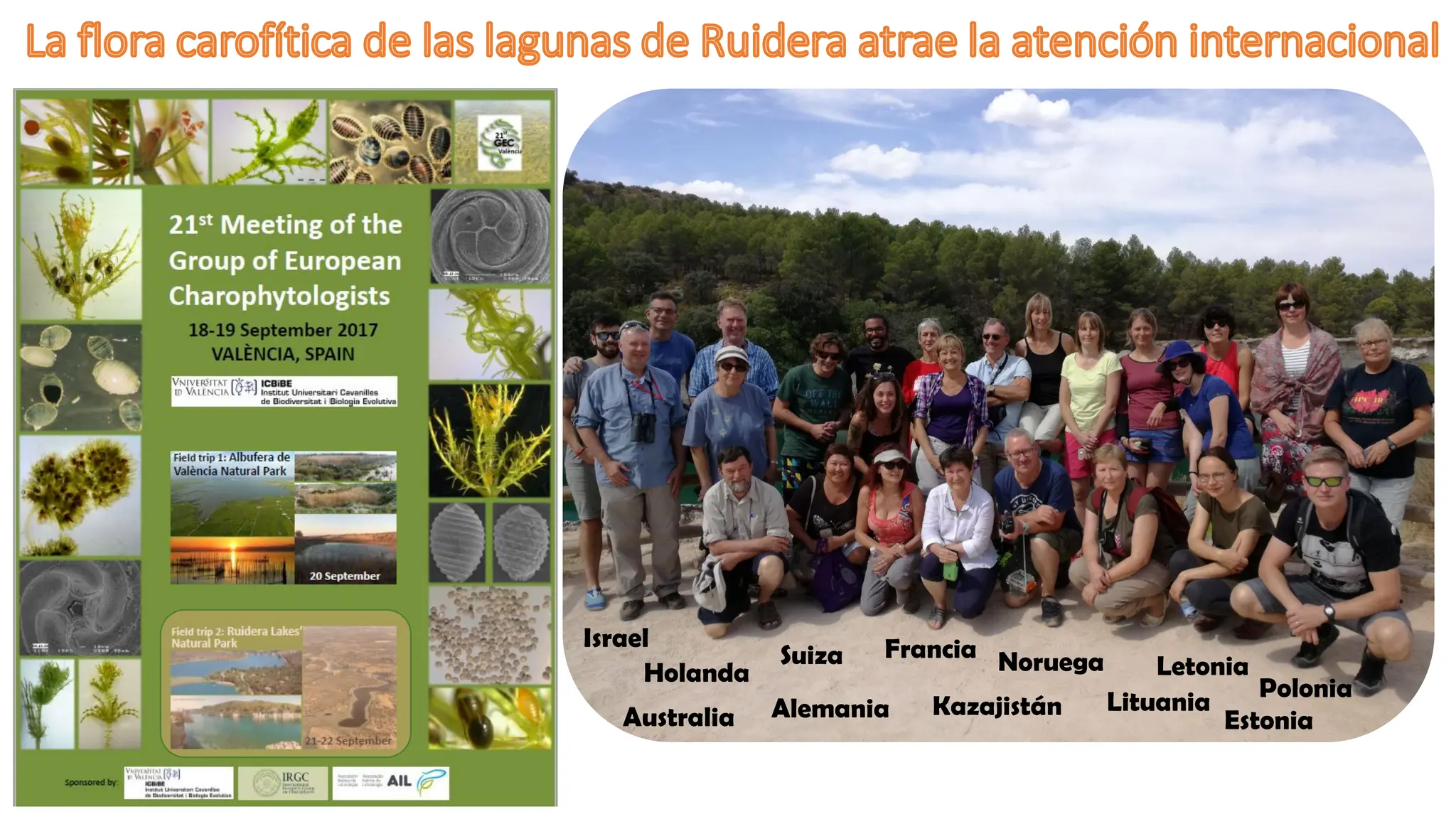 Macrofitas acuaticas sumergidas conservacion | PDF