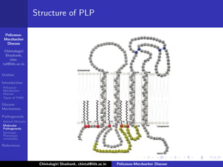 Pelizaeus–Merzbacher disease | PPT