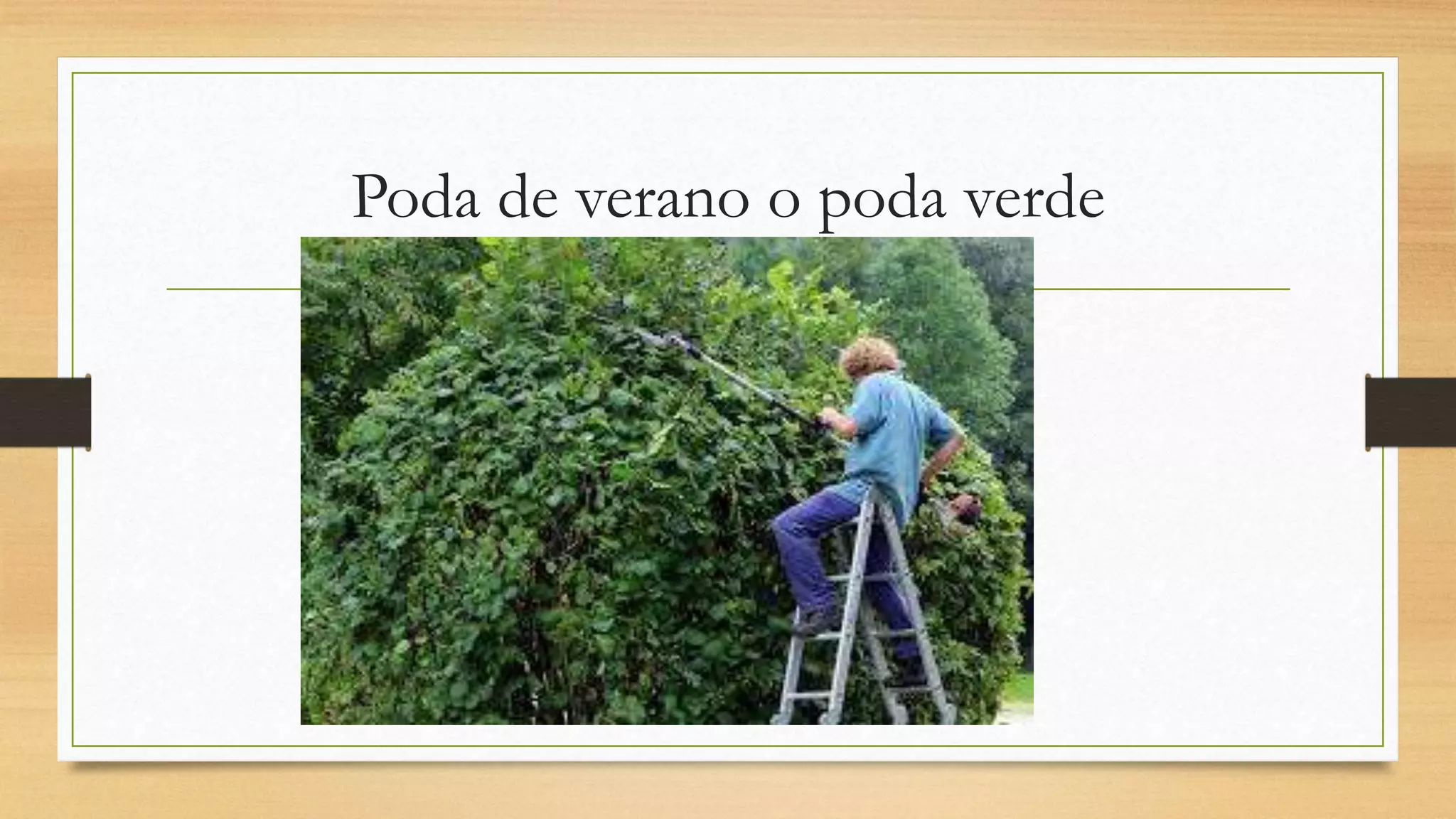 tipos de poda e implementos | PPTX