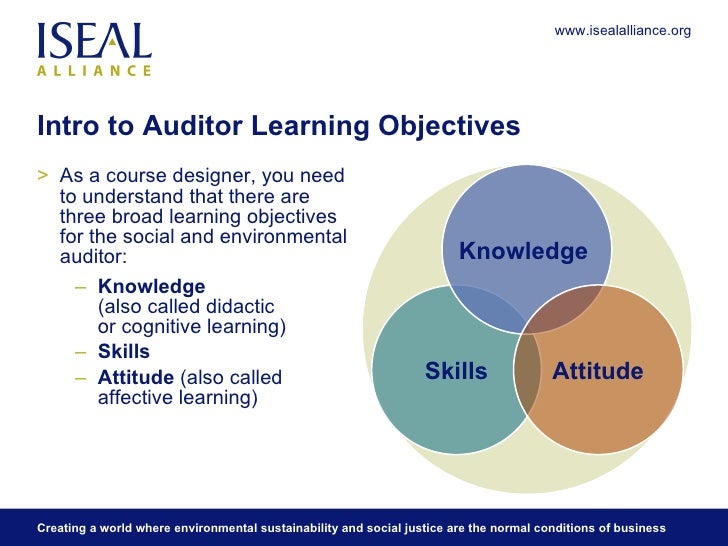2 Defining Auditor Learning Objectives: What an Auditor Needs to Learn