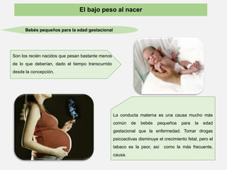 Bases biológicas del desarrollo | PPTX