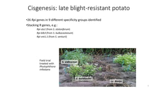 Pres4_cisgenesis.pptx