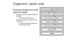 Pres4_cisgenesis.pptx