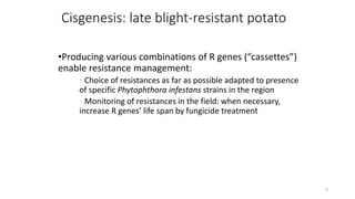 Pres4_cisgenesis.pptx