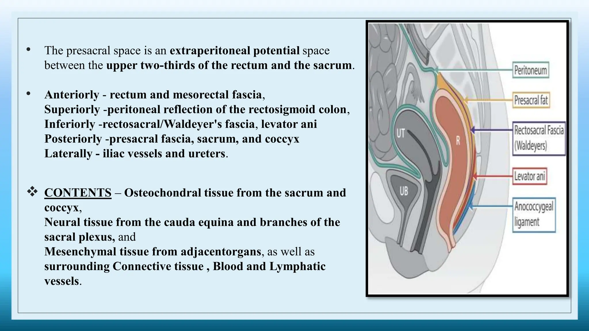 pre sacral lesion sept5.pptx RADIOLOGY | PPTX