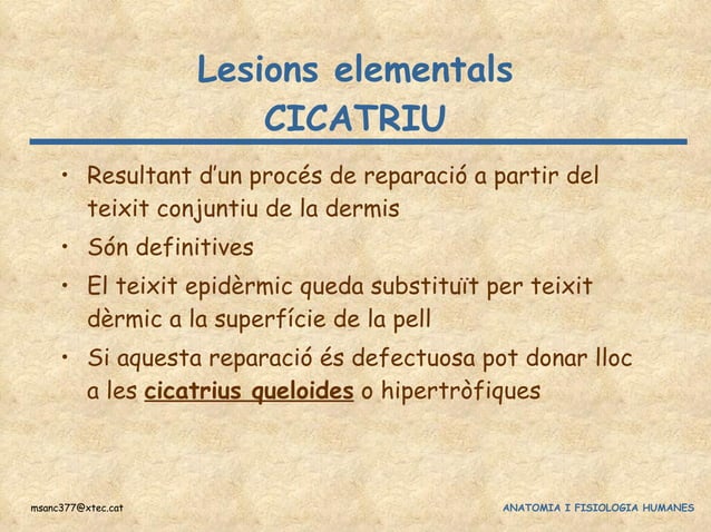 La Pell - Lesions Elementals | PPT