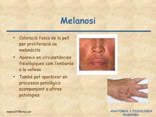 La pell: patologia no infecciosa | PPT