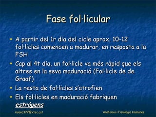 Aparell Reproductor - Cicle Menstrual | PPT