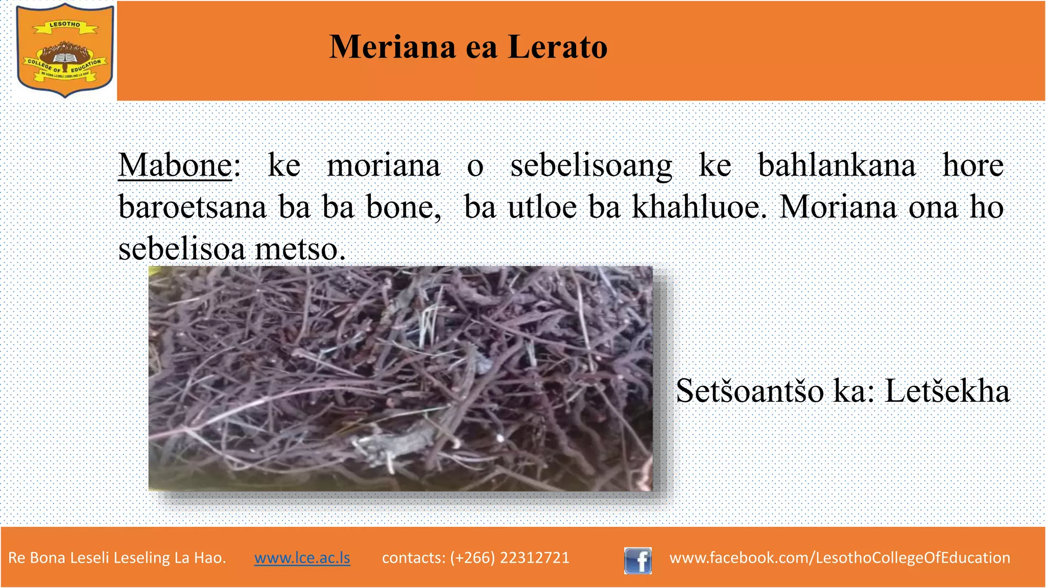 Meriana ea banna le bahlankana ba Basotho | PPTX