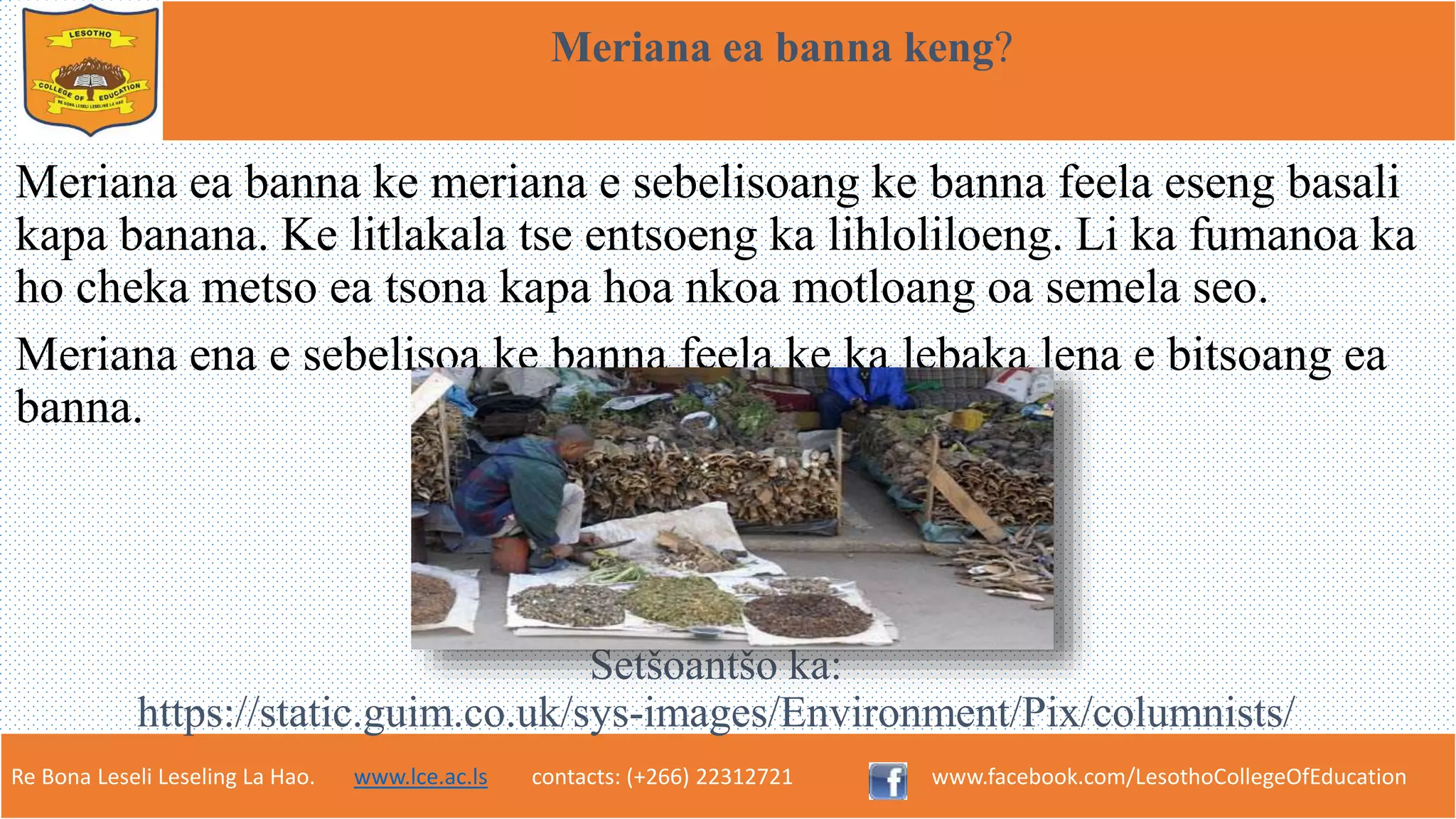 Meriana ea banna le bahlankana ba Basotho | PPTX
