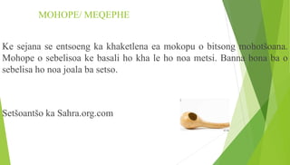 LISEBELISOA TSA BASOTHO TSE ENTSOENG KA LIMELA | PPTX