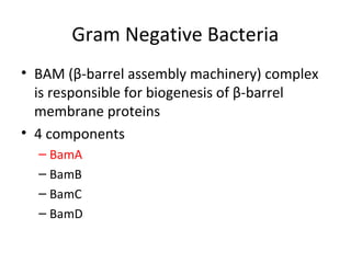 Molecular and Structural Mechanism for Beta Barrel Proteins ...