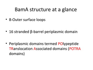 Molecular and Structural Mechanism for Beta Barrel Proteins ...