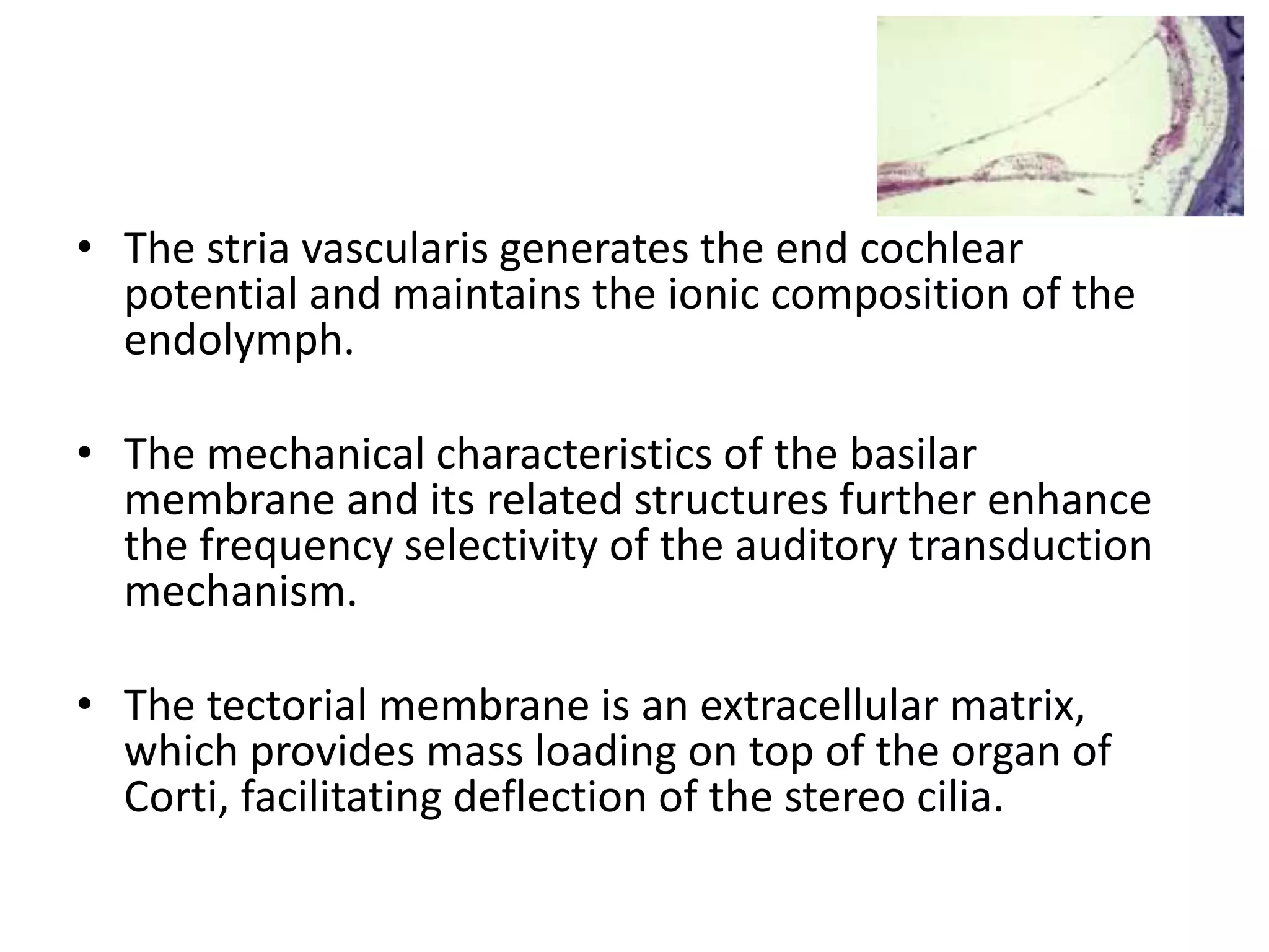Presbycusis, deafness of old age | PPTX
