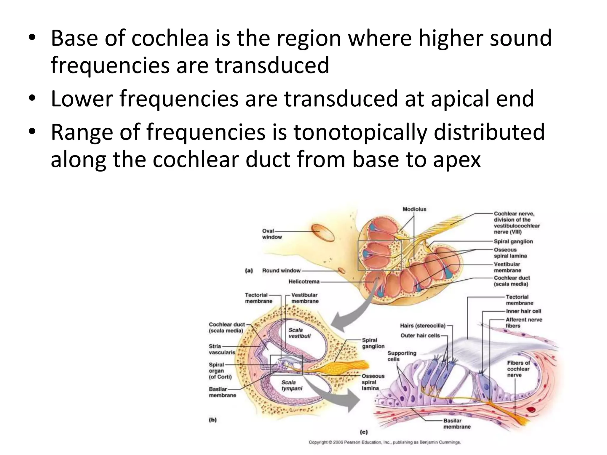 Presbycusis, deafness of old age | PPTX