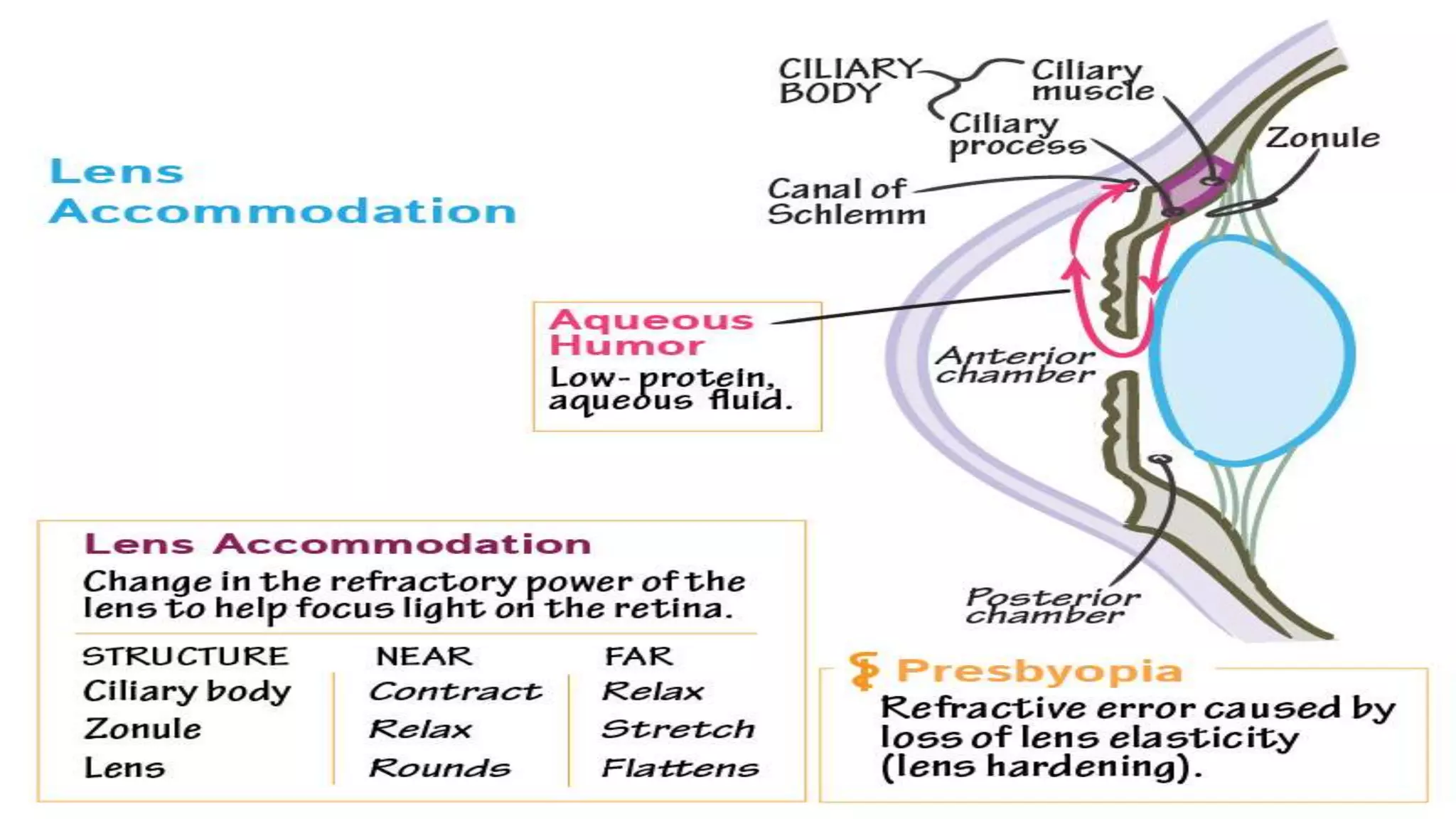 Presbyopia,Accommodation Anomalies | PPTX