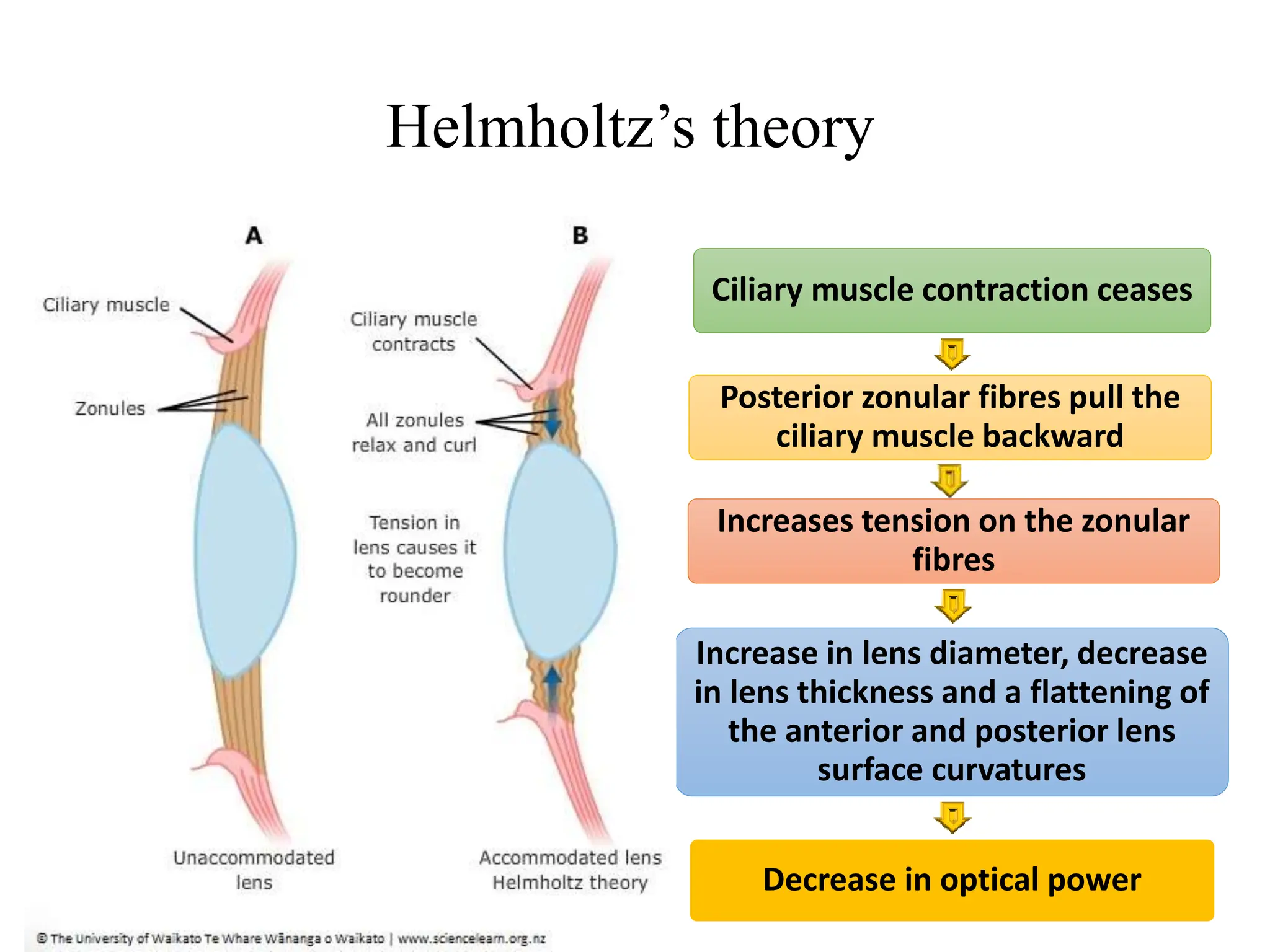 Presbyopia - refraction and management-Archana.pptx