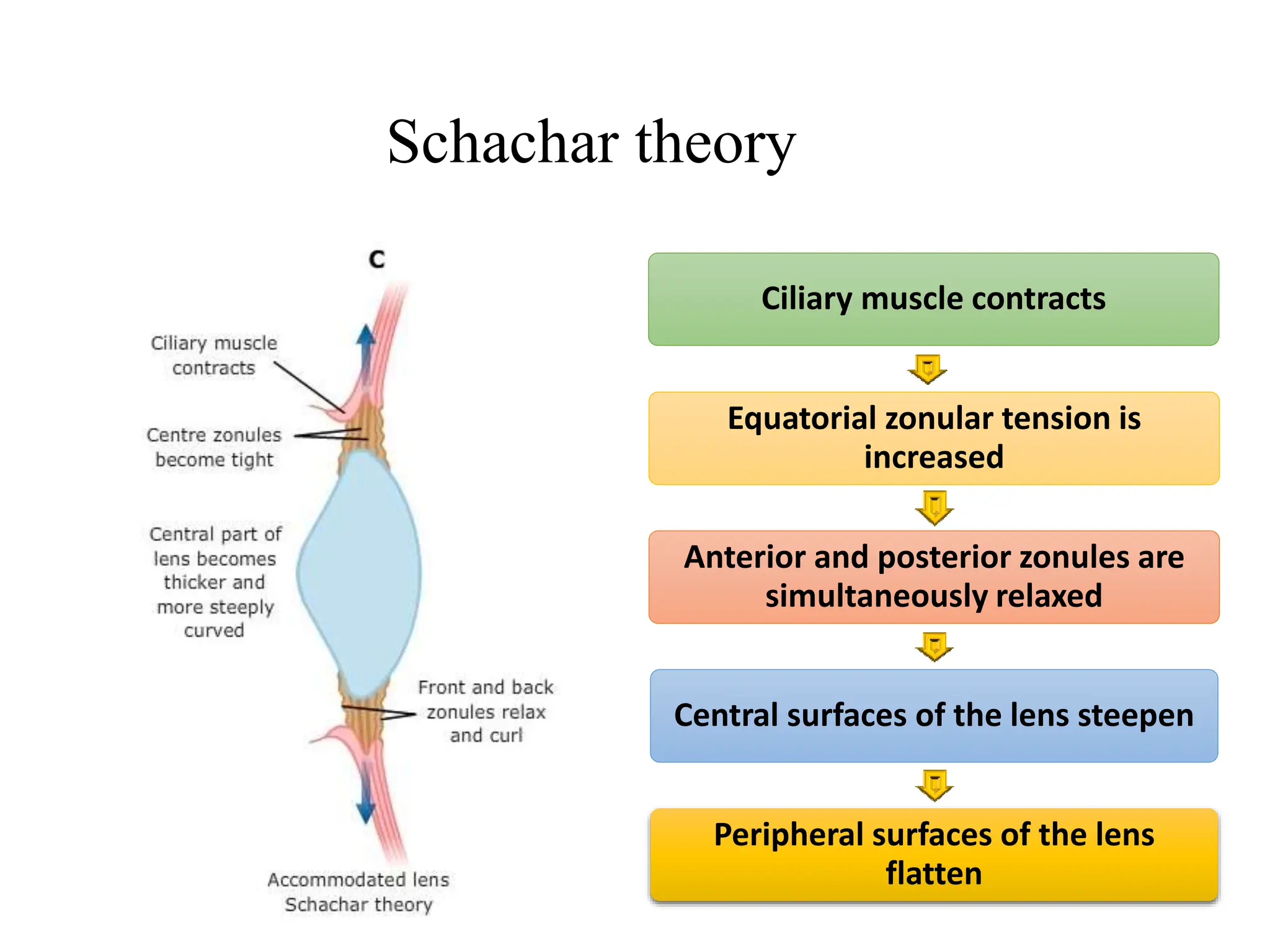 Presbyopia - refraction and management-Archana.pptx
