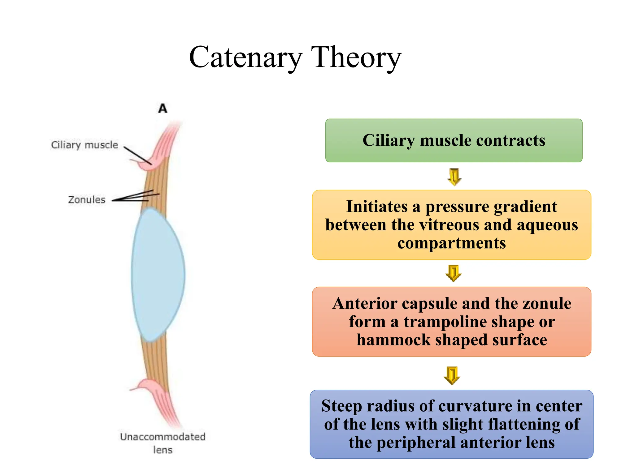 Presbyopia - refraction and management-Archana.pptx