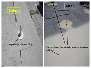 Presbyterian manors of kansas | PPT