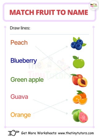 Interactive Fruit Worksheets for Kids | Preschool Learning Activities | PDF